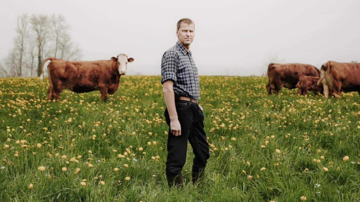 Der Mist ist geführt | Beobachter