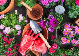 Regelmässige Arbeiten durch Gärtner erledigen: Worauf achten? | Beobachter