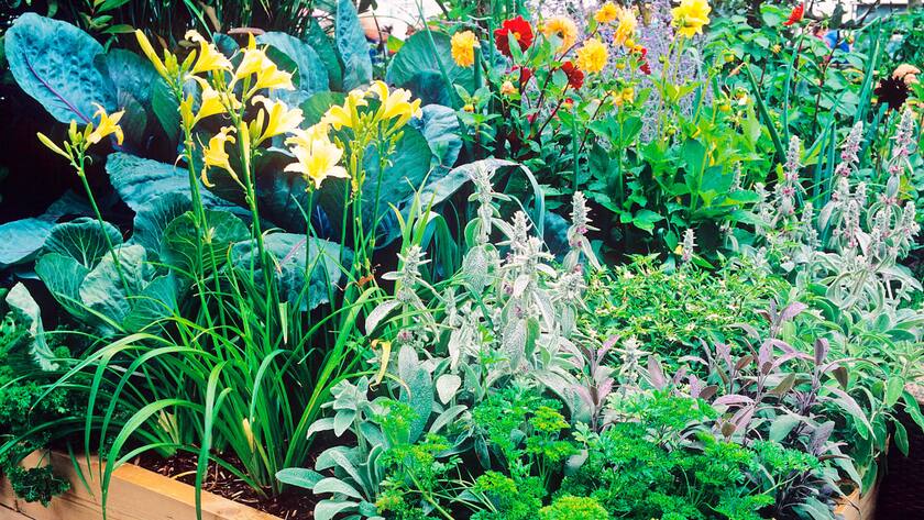 Eine Bauanleitung | Beobachter